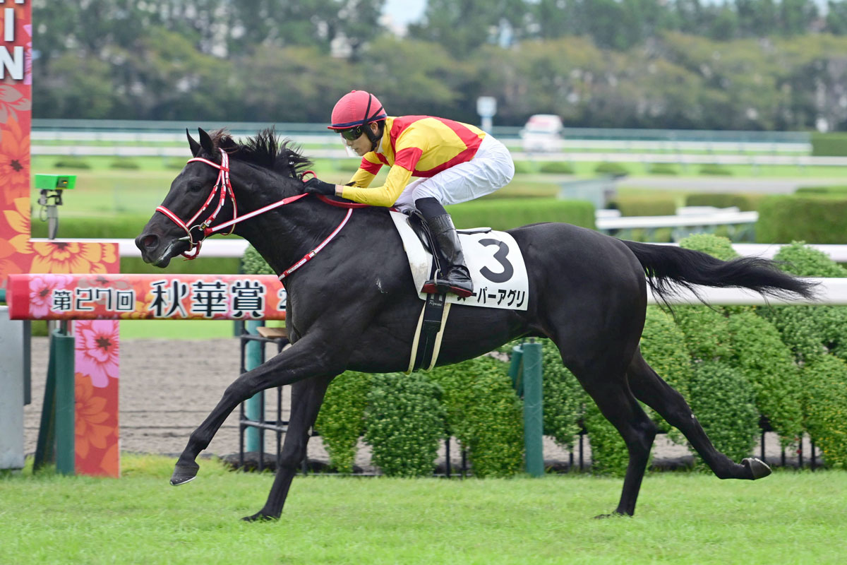 【競馬】スーパーアグリ(牡2)がデビューV 矢作厩舎は今週の新馬戦4戦4勝 : 令和のニュース･話題など